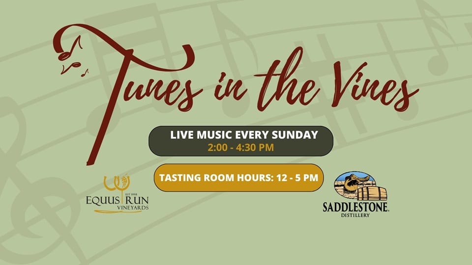 Tunes in the Vines featuring VSP – Visit Woodford – Official Visitors ...